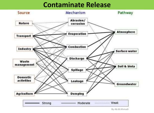 Fate Contaminants.pptx
