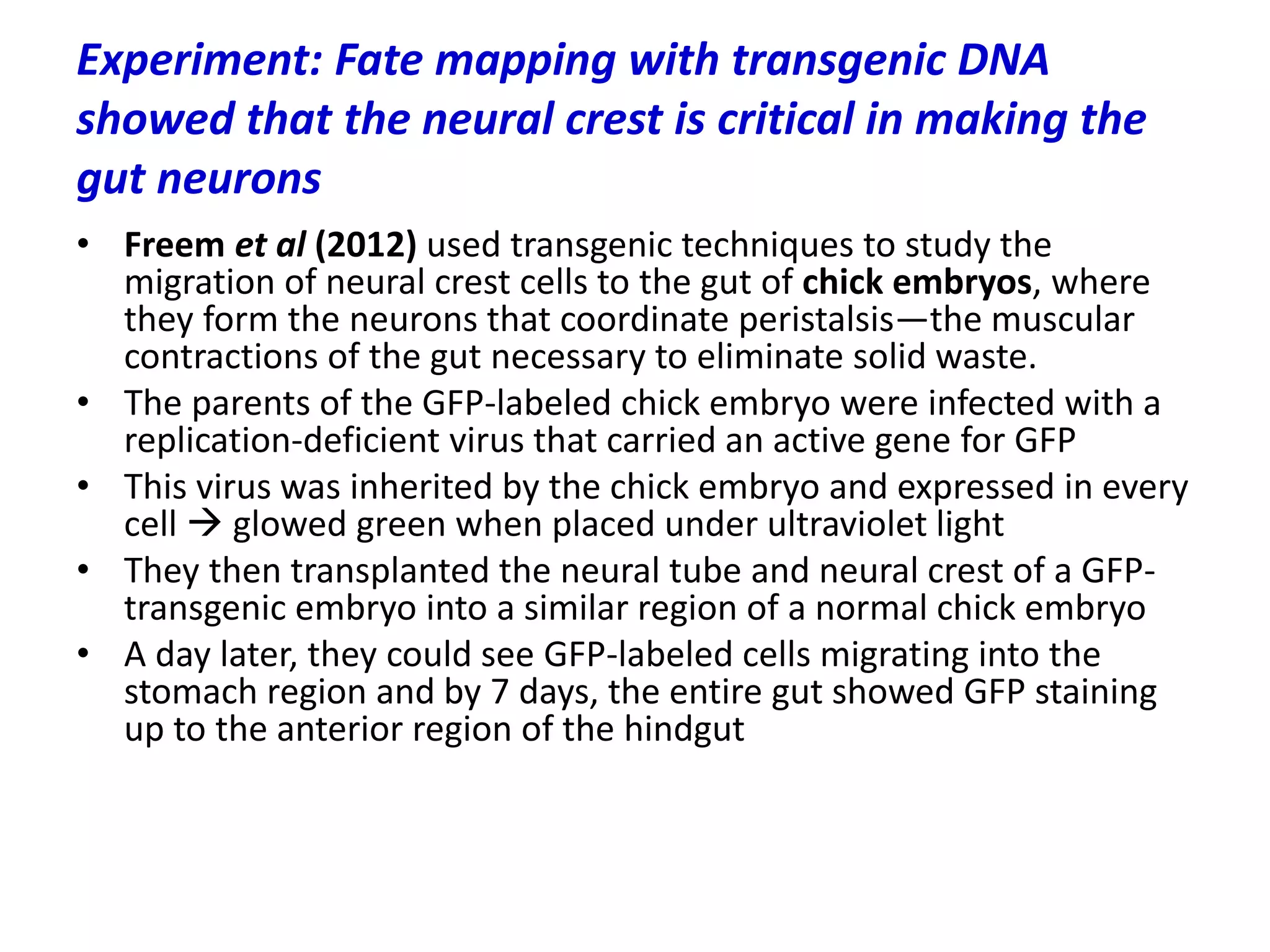 FATE MAPS 26.03.2020 dev bio (1).pdf