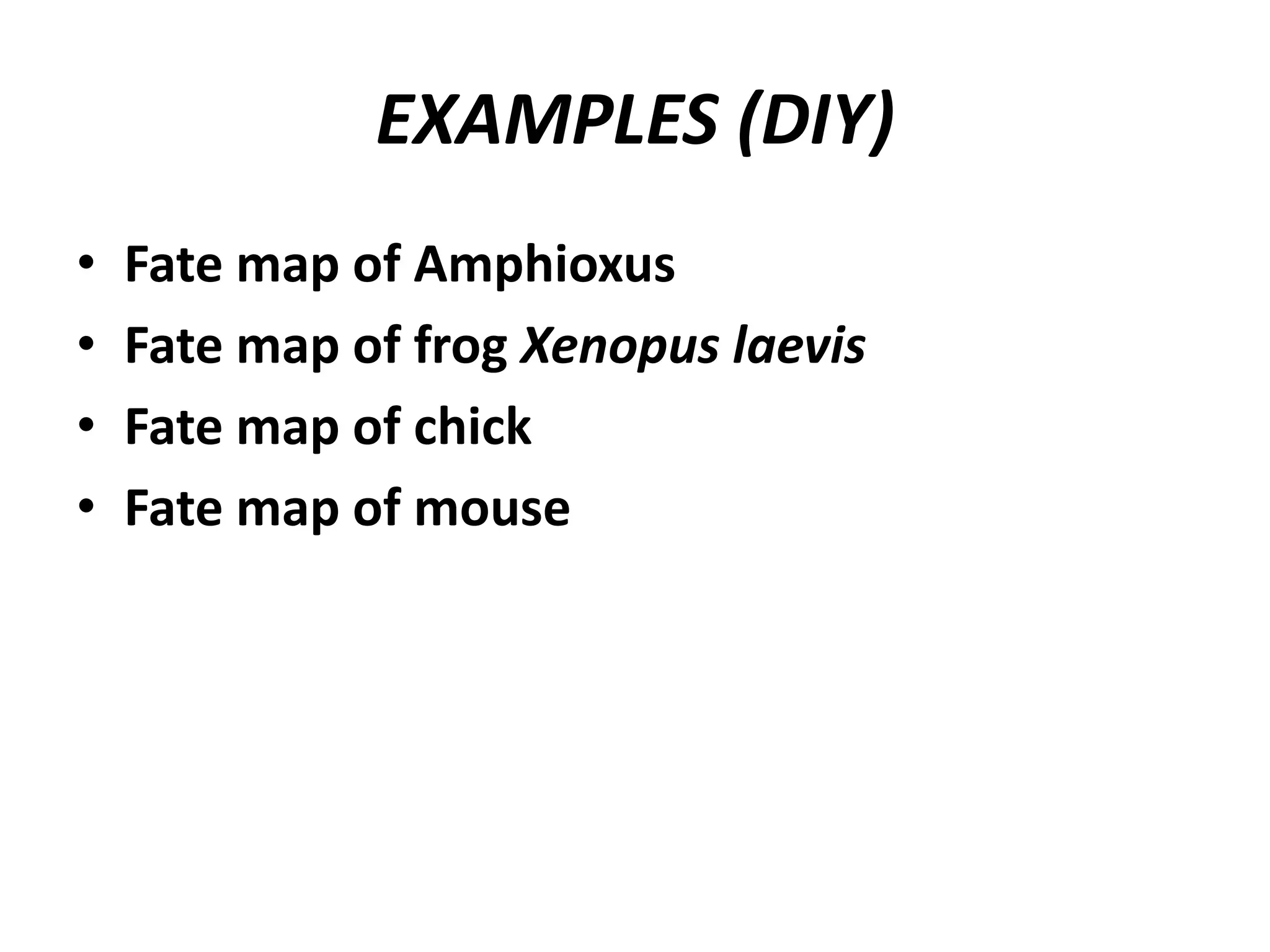 FATE MAPS 26.03.2020 dev bio (1).pdf