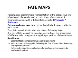 FATE MAPS 26.03.2020 dev bio (1).pdf