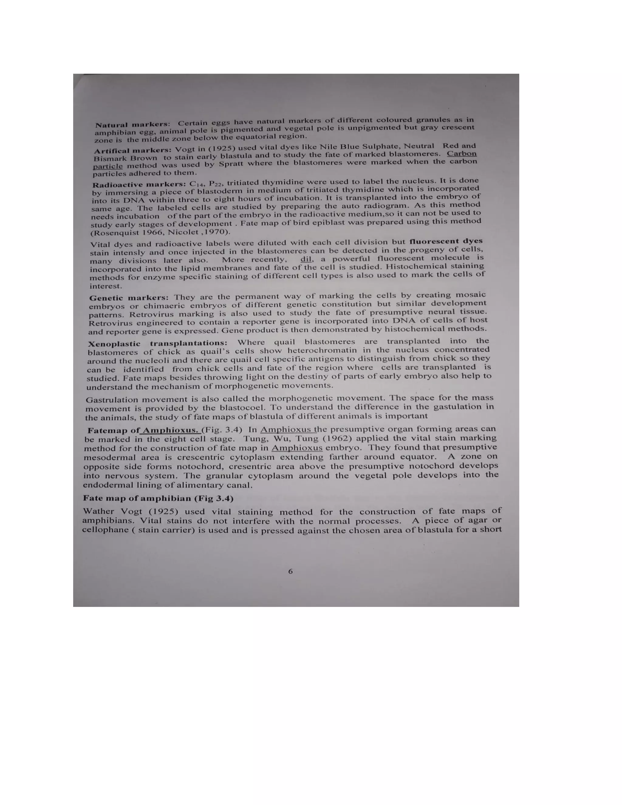 Fate maps and gastrulation | PDF