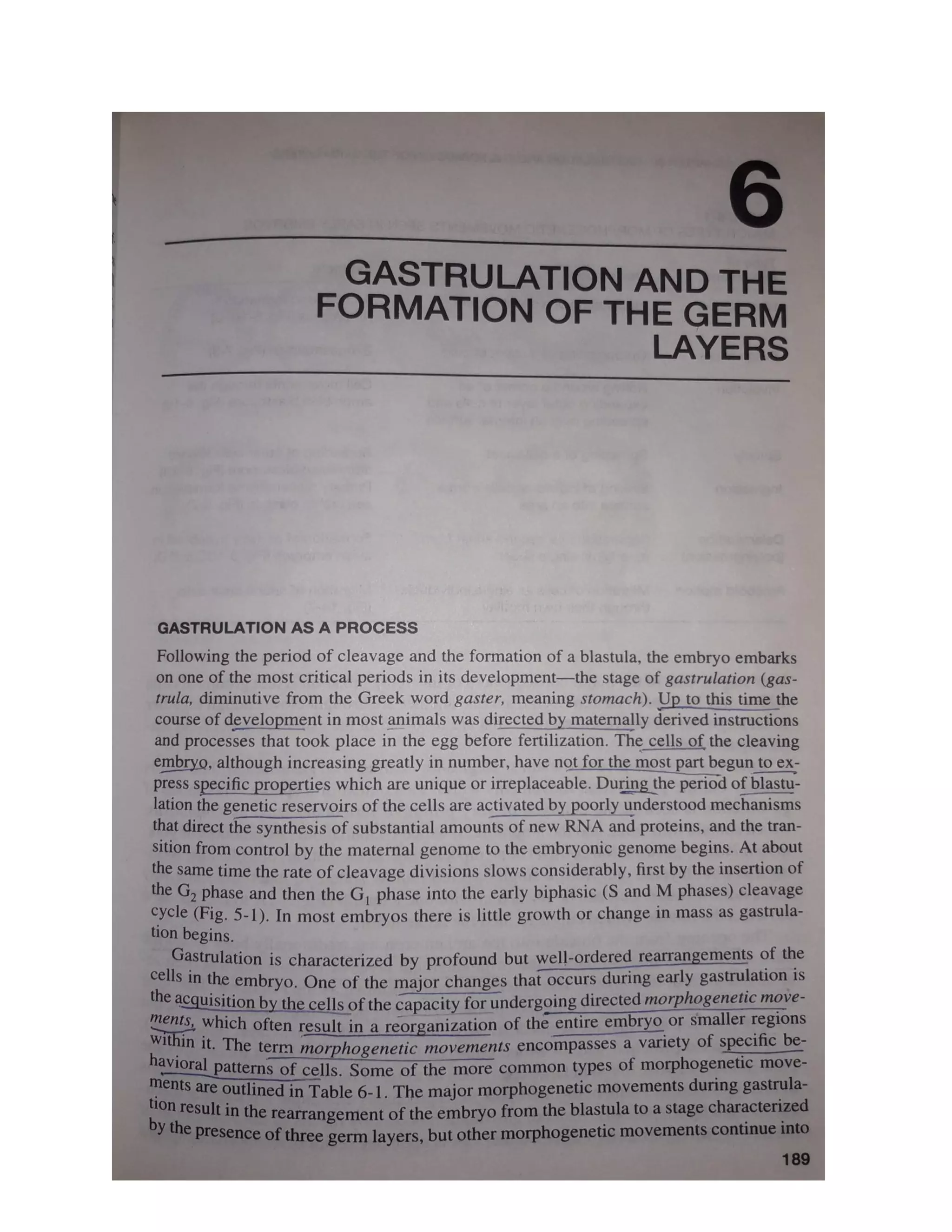 Fate maps and gastrulation | PDF