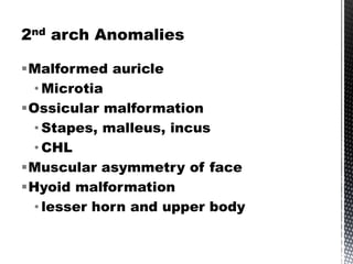 Fate of Branchial Arches | PPTX