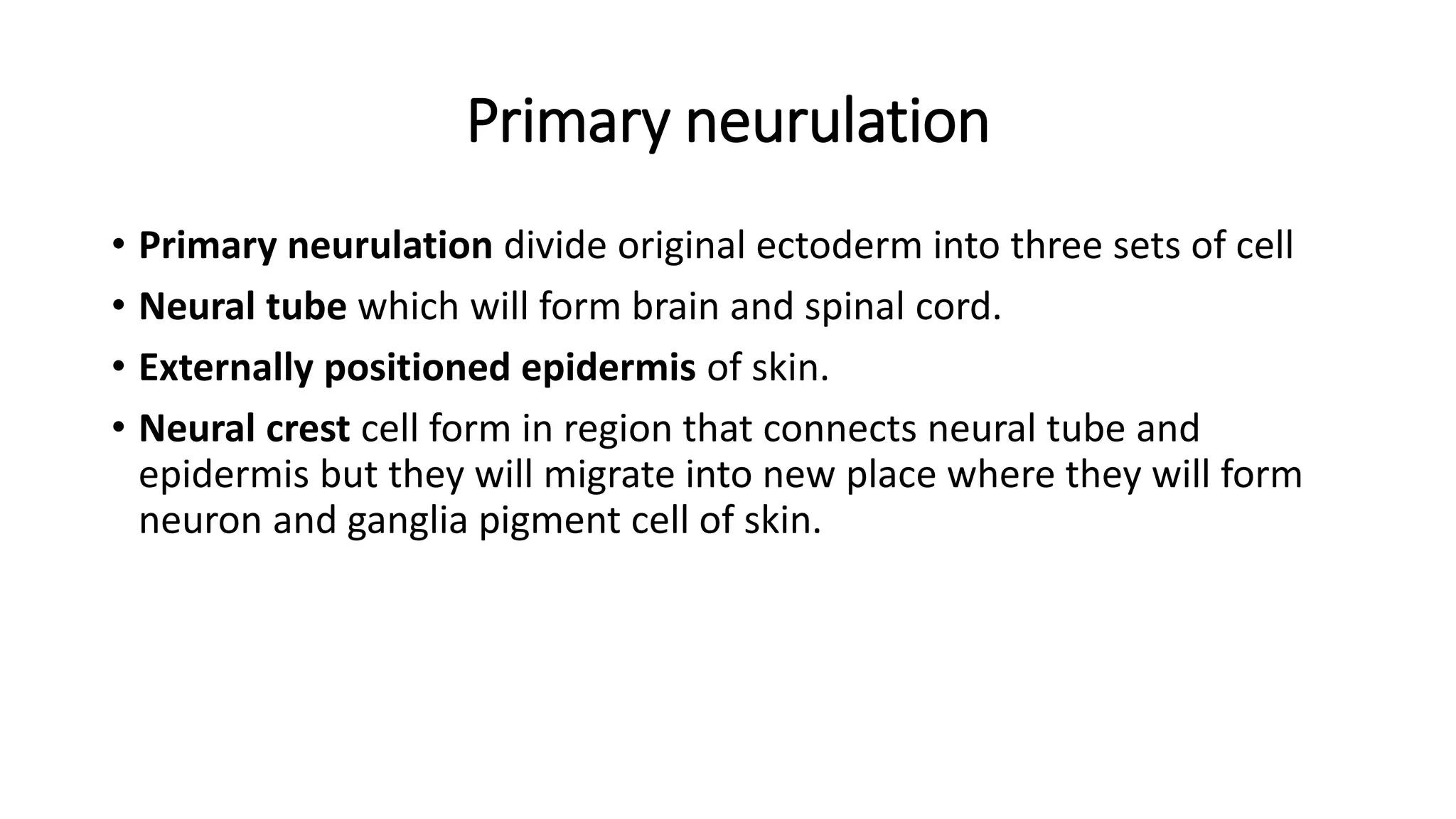 Fate of embryonic layers and structures develope from them | PPTX