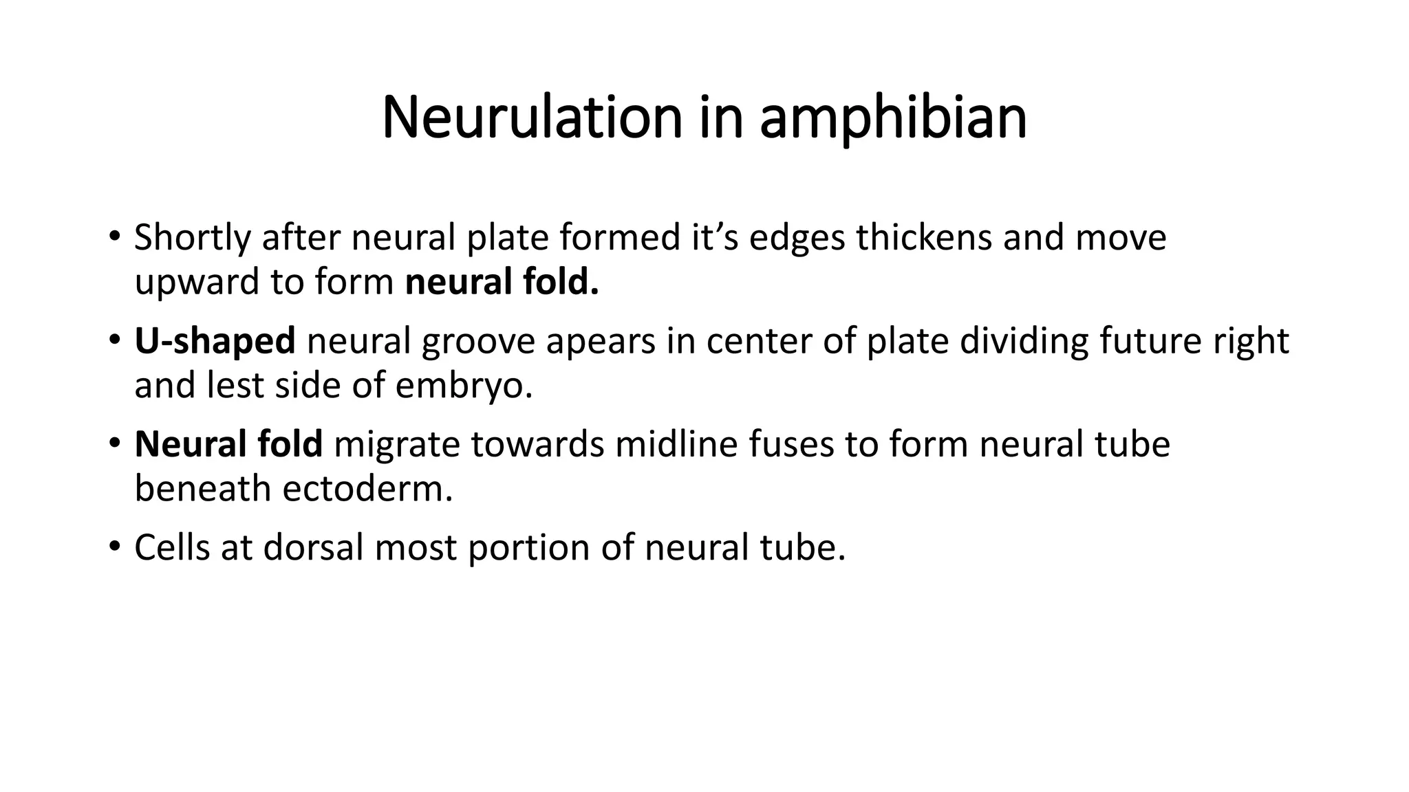 Fate of embryonic layers and structures develope from them | PPTX