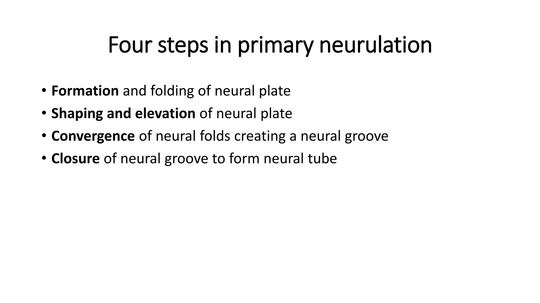 Fate of embryonic layers and structures develope from them | PPTX