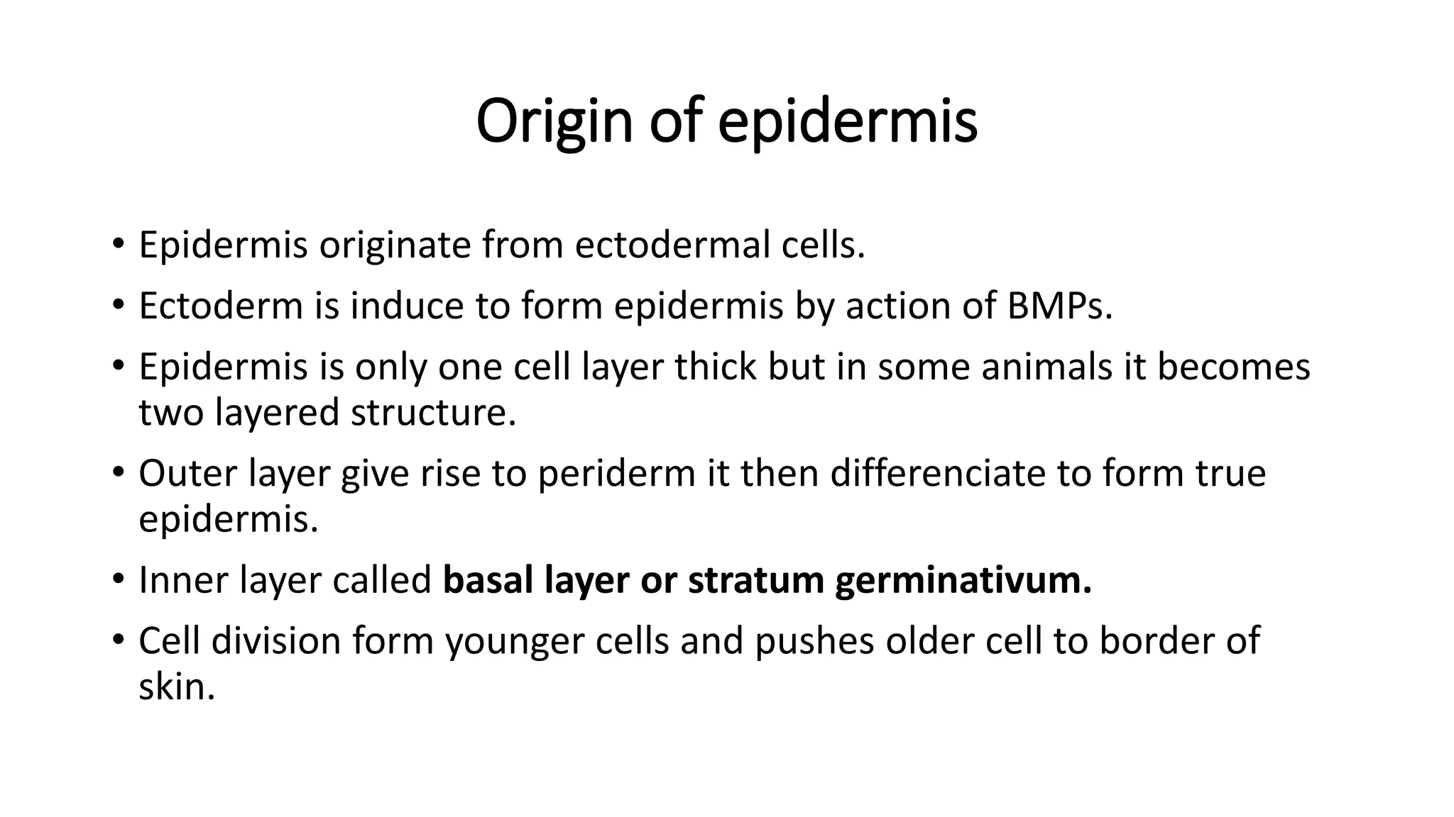 Fate of embryonic layers and structures develope from them | PPTX