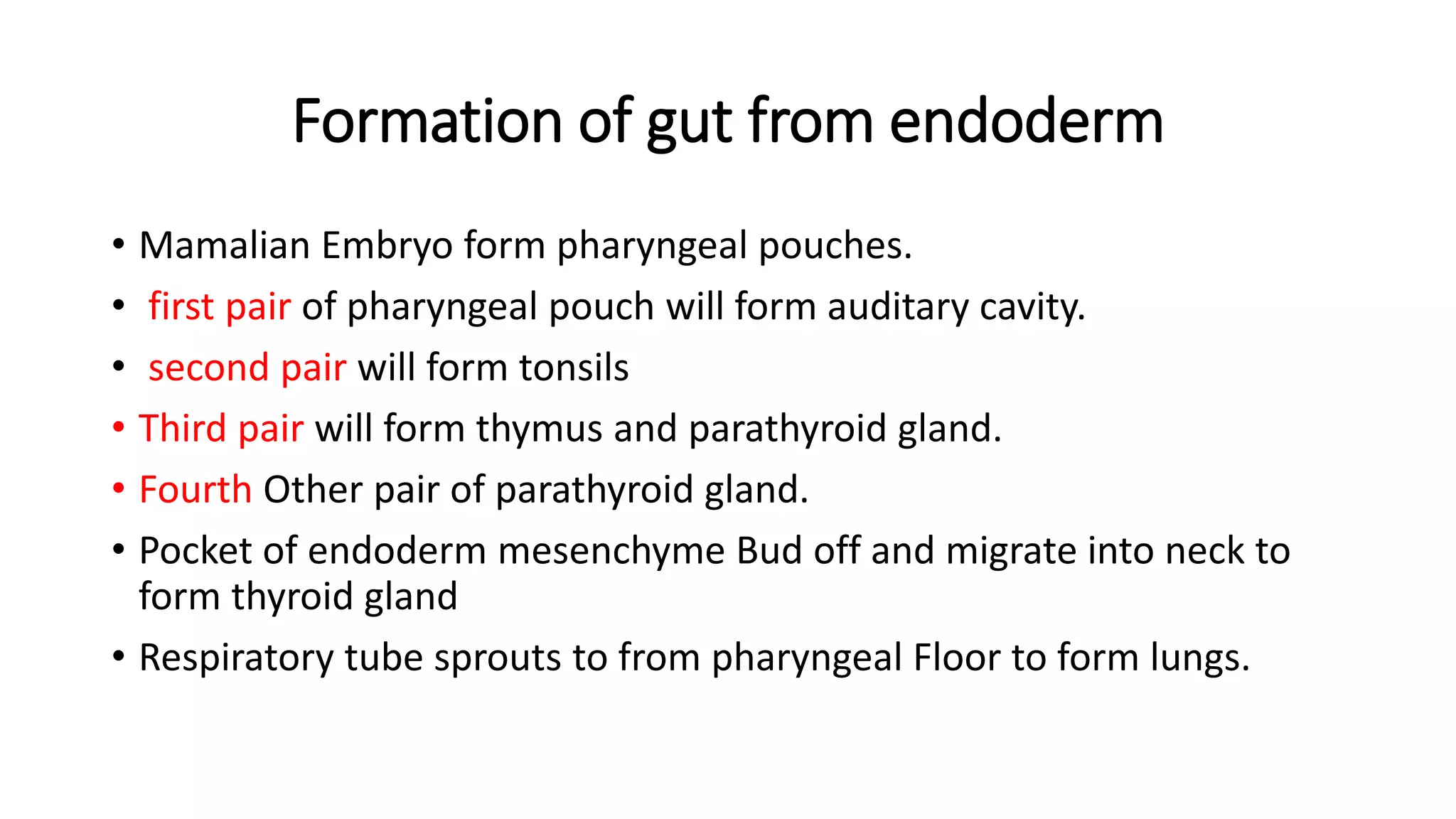 Fate of embryonic layers and structures develope from them | PPTX