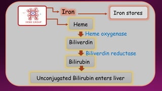 Fate of Hemoglobin and types of Jaundice | PPTX