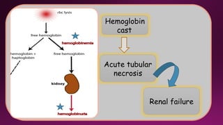Fate of Hemoglobin and types of Jaundice | PPTX