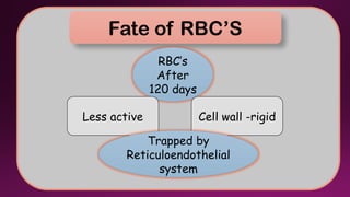 Fate of Hemoglobin and types of Jaundice | PPT