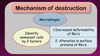 Fate of Hemoglobin and types of Jaundice | PPTX