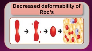 Fate of Hemoglobin and types of Jaundice | PPT