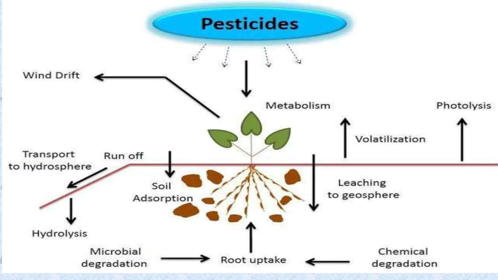 fate of herbicide and classification of insecticides. ppt.pptx