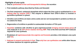 Fate of nitrogen in the body | PPT