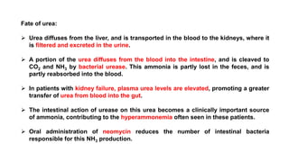 Fate of nitrogen in the body | PPT