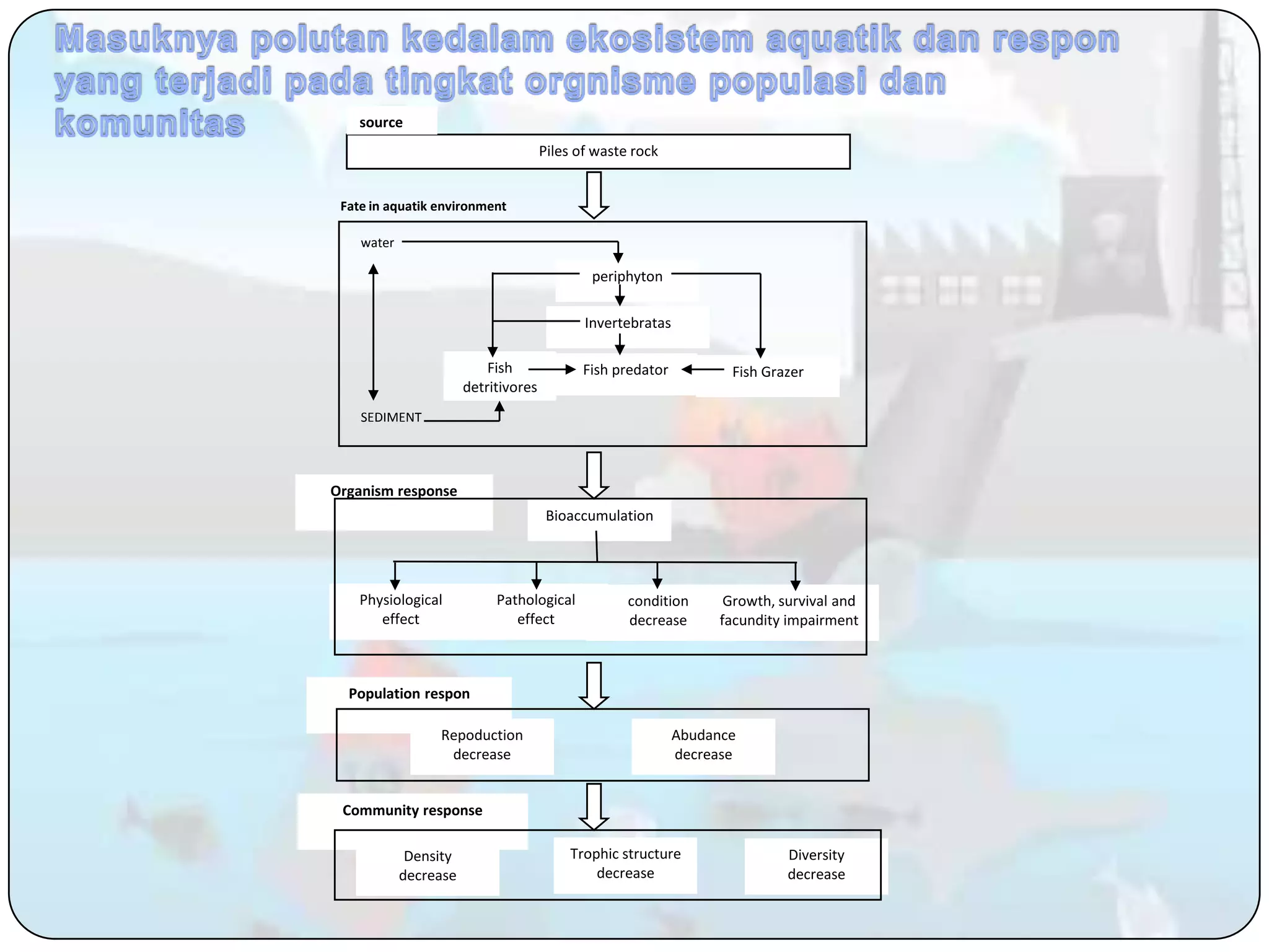 Fate of pollutant | PPTX