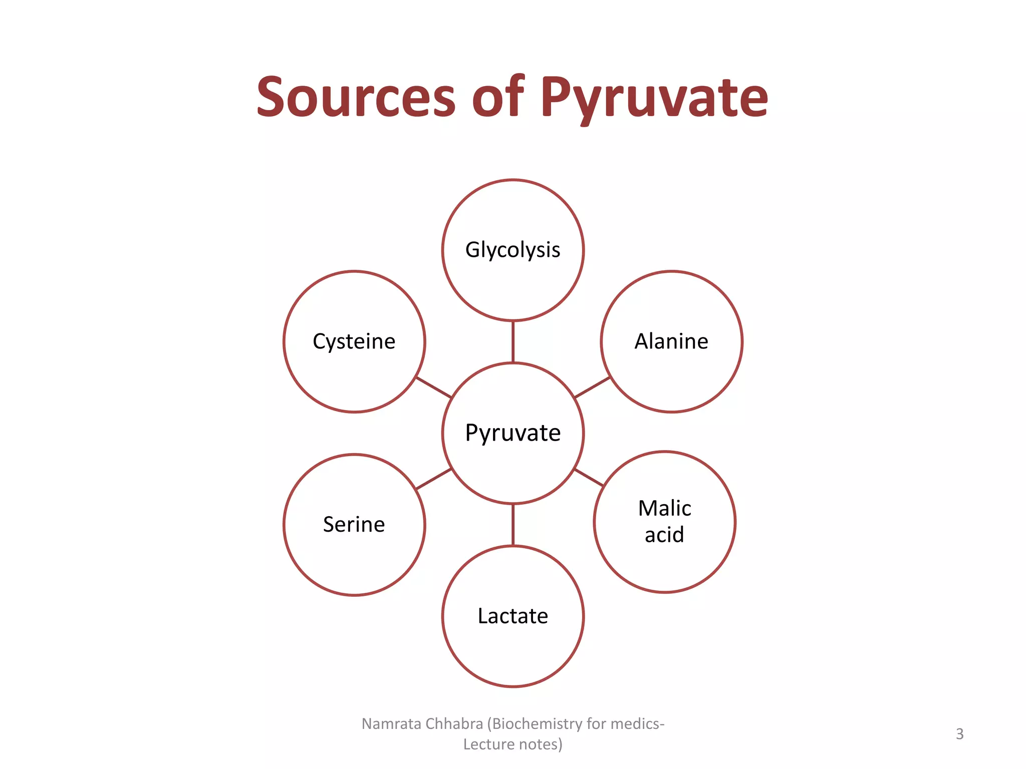 Fate of pyruvate - A quick review | PPTX