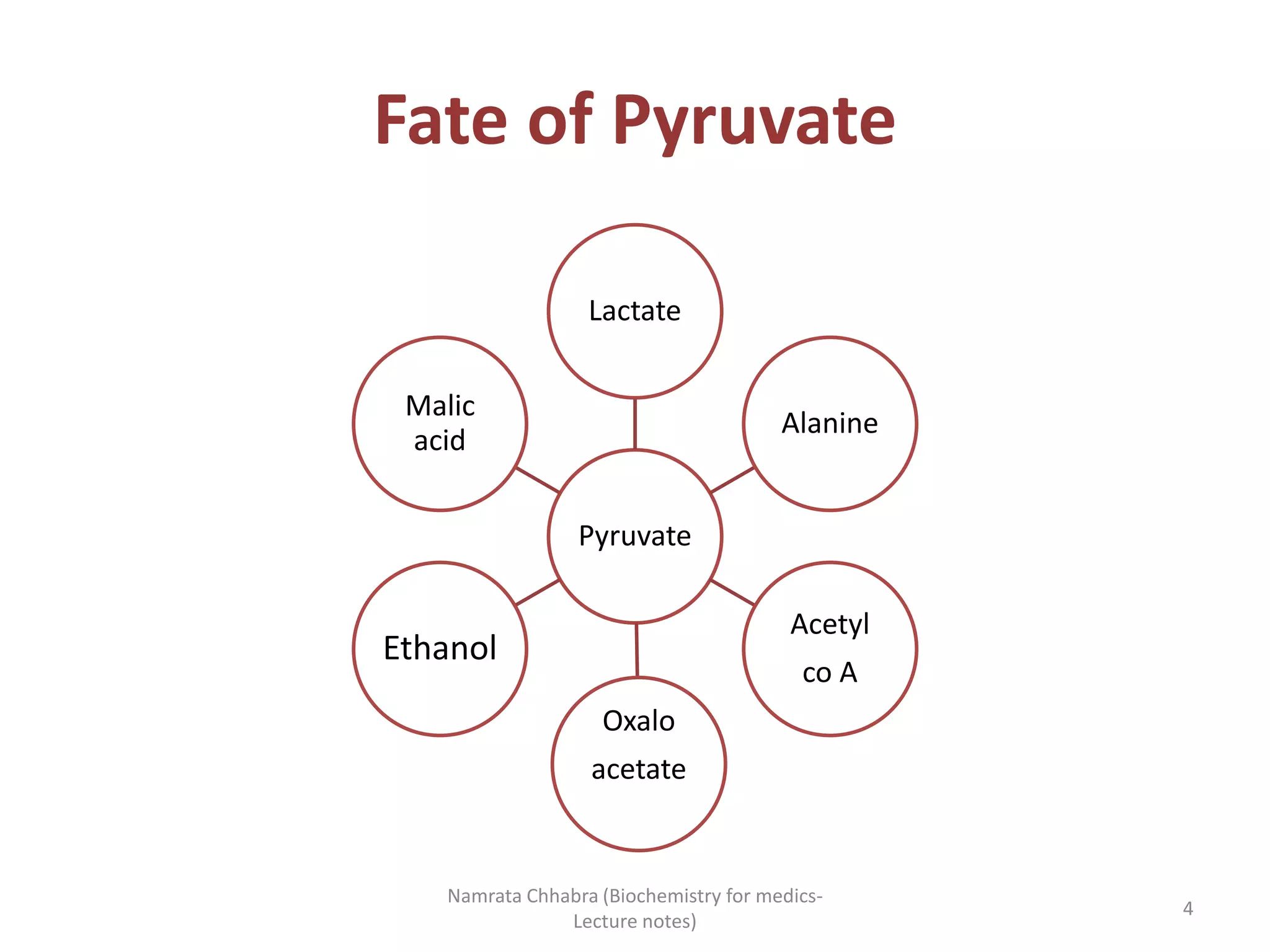 Fate of pyruvate - A quick review | PPTX