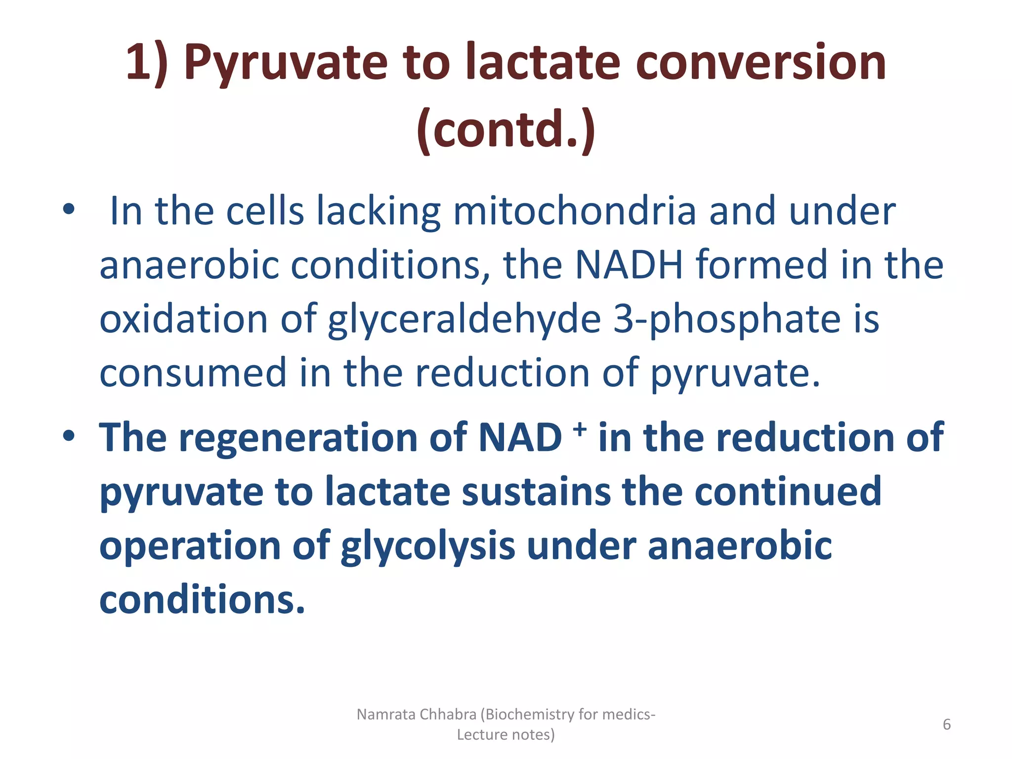 Fate of pyruvate - A quick review | PPTX