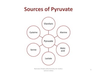 Fate of pyruvate - A quick review | PPTX
