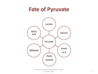 Fate of pyruvate - A quick review | PPTX