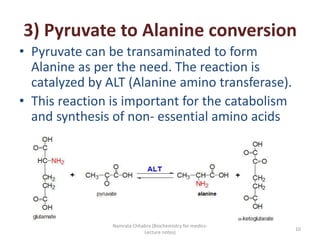 Alanine To Pyruvic Acid