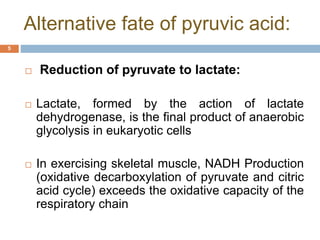 Fate of Pyruvic acid in biochemistry pharm d notes.pptx