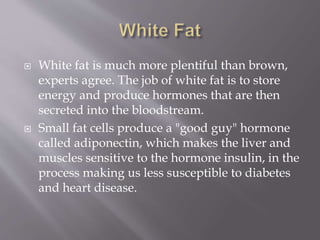 Fat facts | PPT