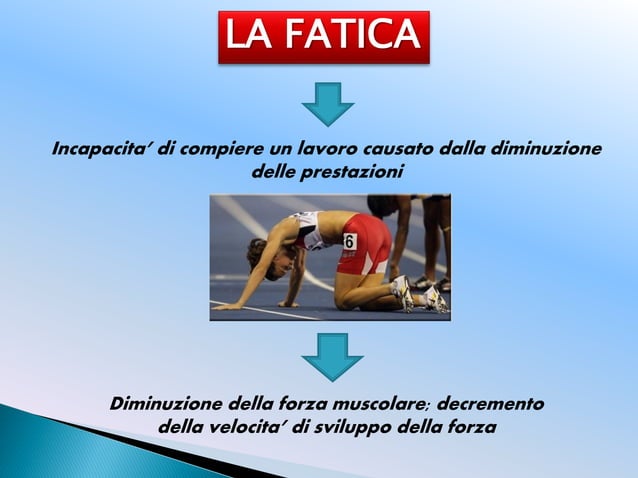Fatica esercizio fisico e acido lattico nuovi scenari | PDF