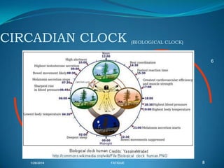 Fatigue | PPTX | Sleep Disorders | Diseases and Conditions