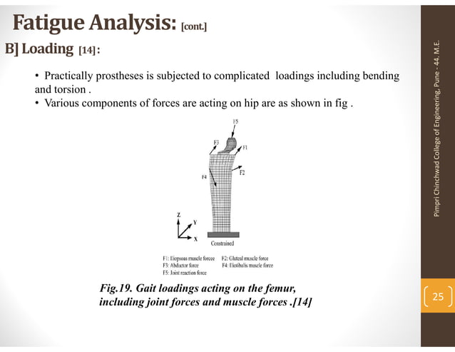 Fatigue life estimation of Human artificial hip joint based on modeling and simulation | PPT