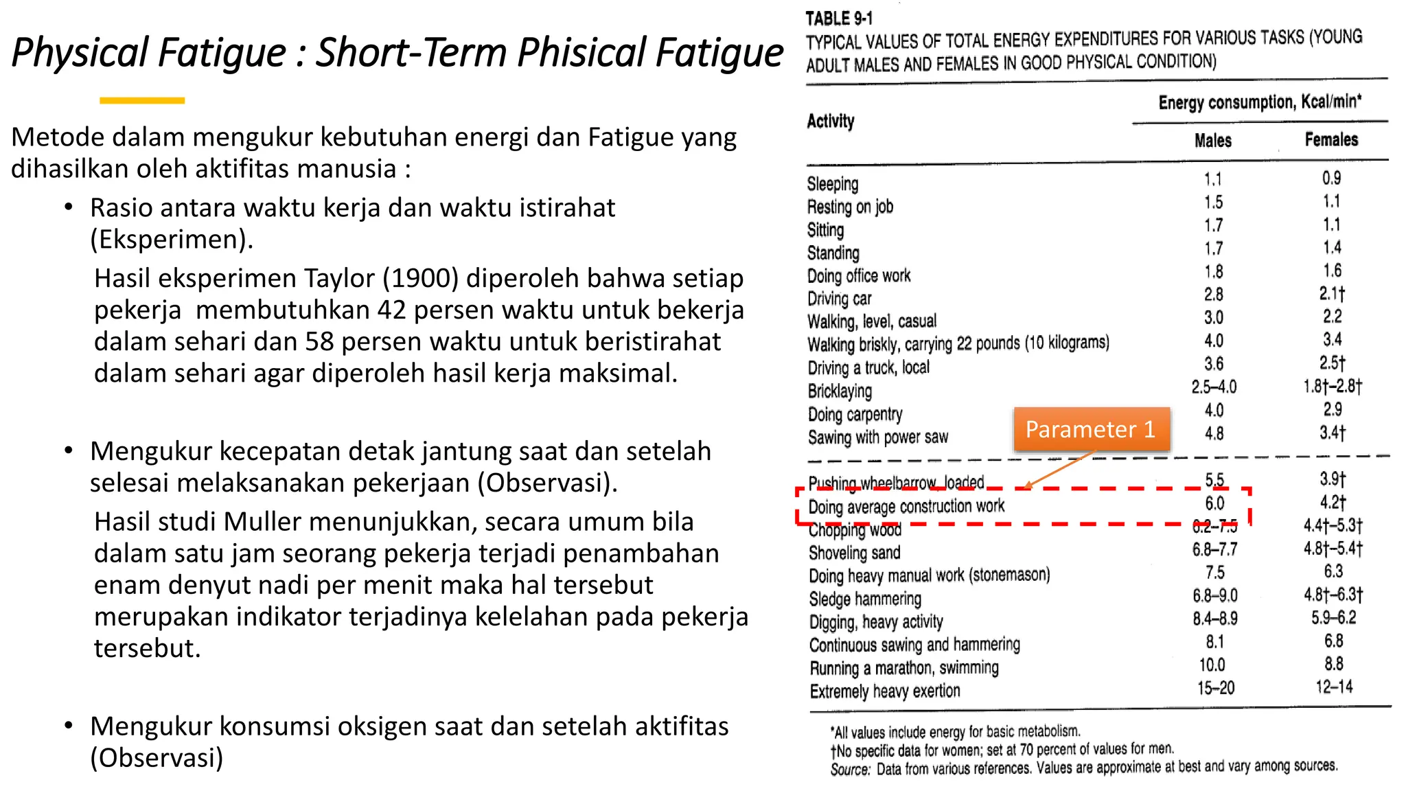Fatigue Management for Construction Team.pptx