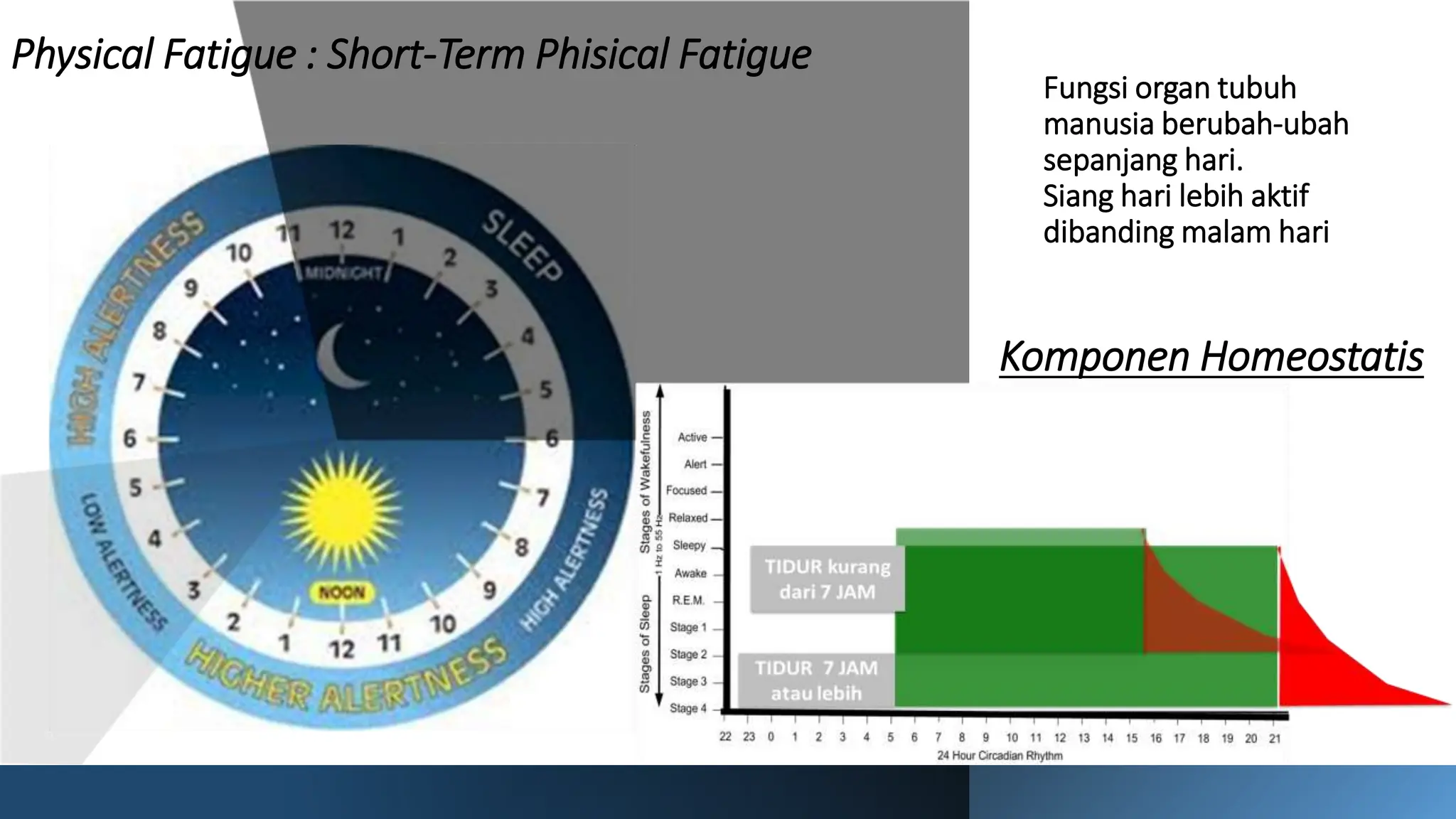 Fatigue Management for Construction Team.pptx