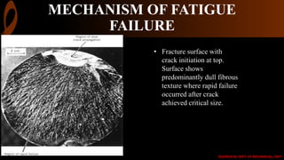 Fatigue of materials | PDF