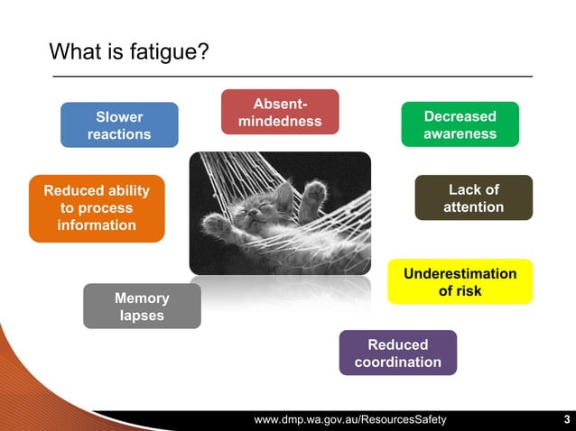 Fatigue management presentation PPT -DMIRS.ppt
