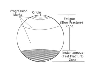 Fatigue test | PPT