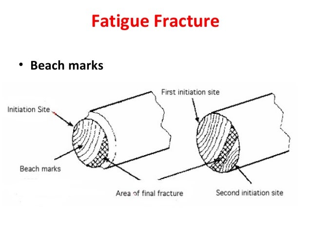 Fatigue test