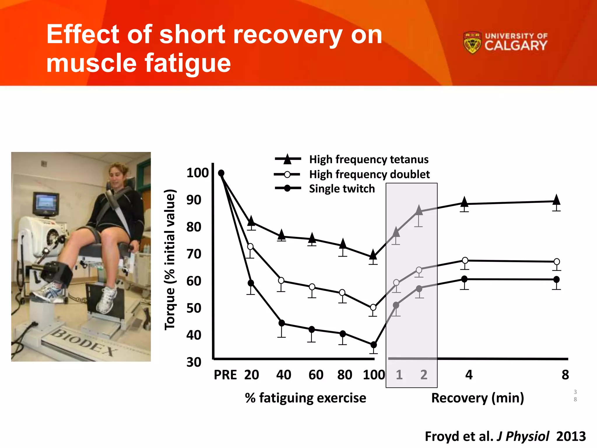 Our brains and fatigue | PPTX