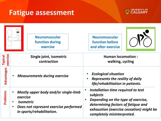 Our brains and fatigue | PPT