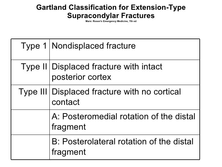 Fatima Al Ghaithi Case Serise March 2nd