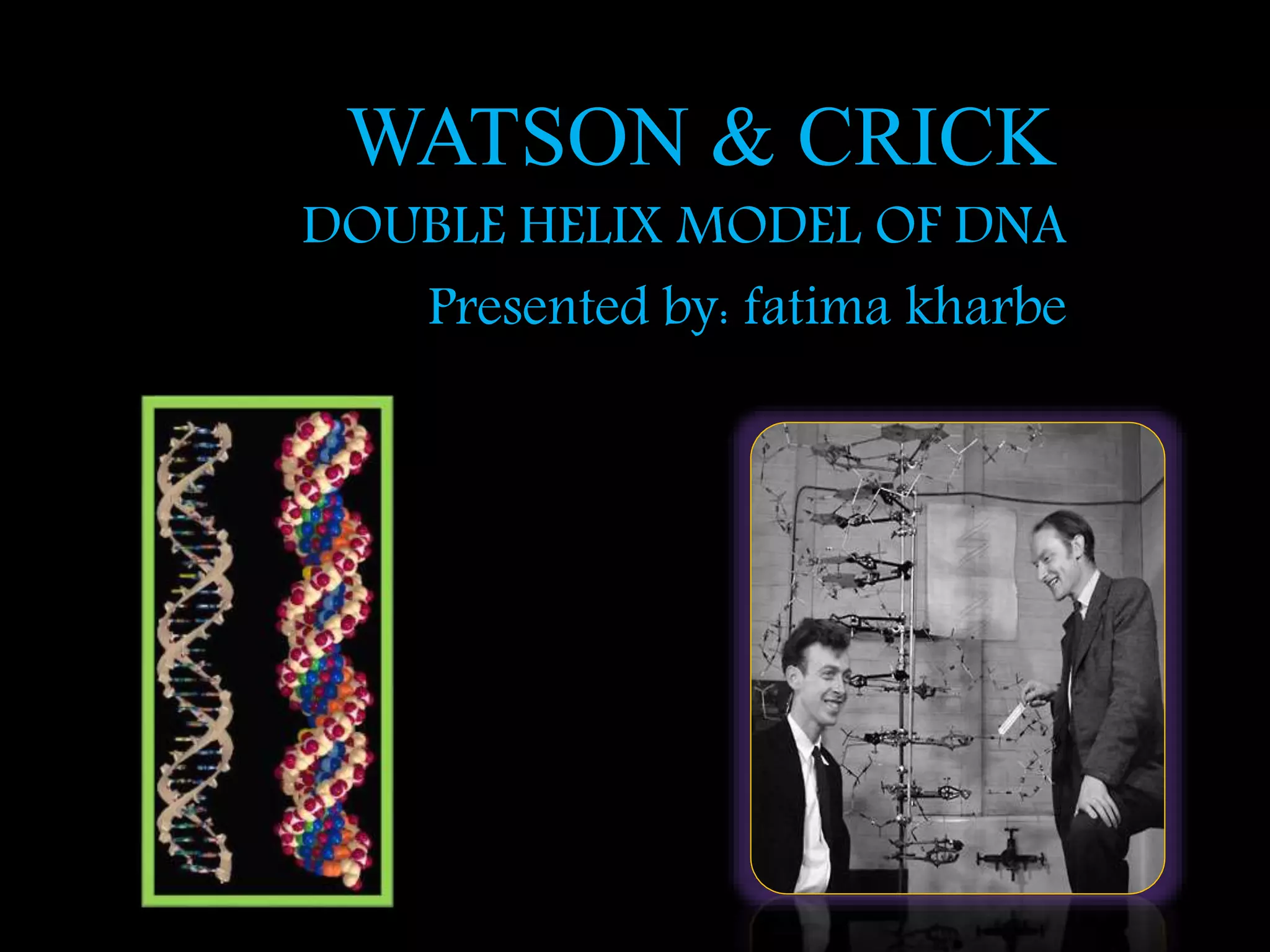 Knowledge Class Watson And Crick Model Of Dna