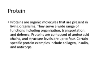 Fatima Presenta-WPS Office.pptx