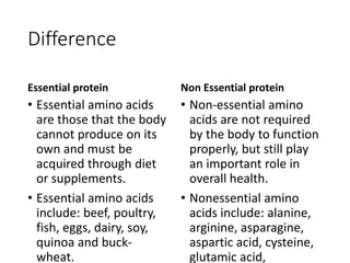 Fatima Presenta-WPS Office.pptx