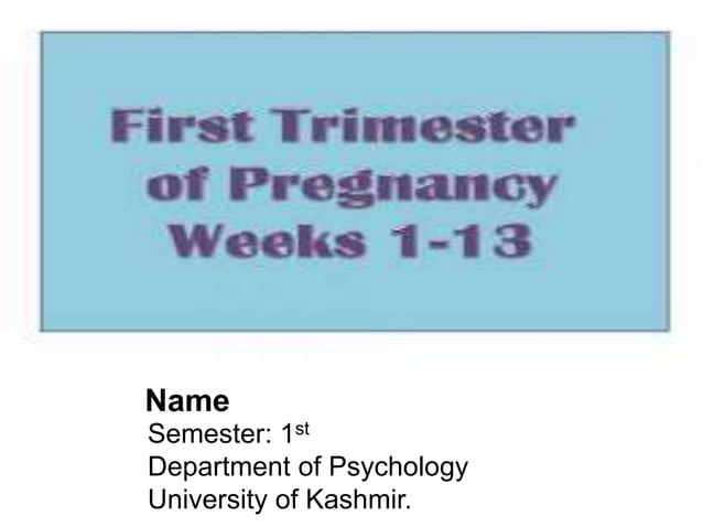 First Trimester Of Pregnancy. | PPTX