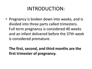 First Trimester Of Pregnancy. | PPTX