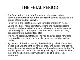 First Trimester Of Pregnancy. | PPTX