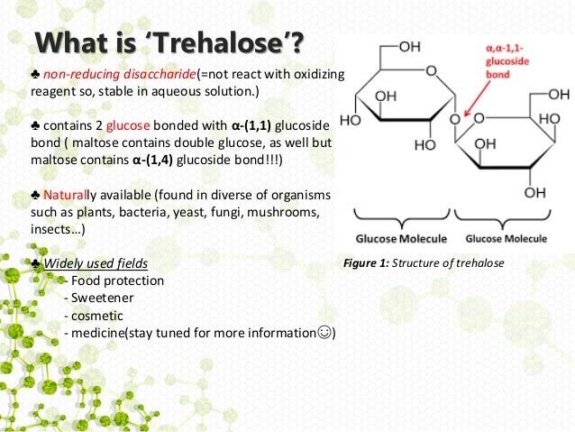 TREHALOSE and Its production