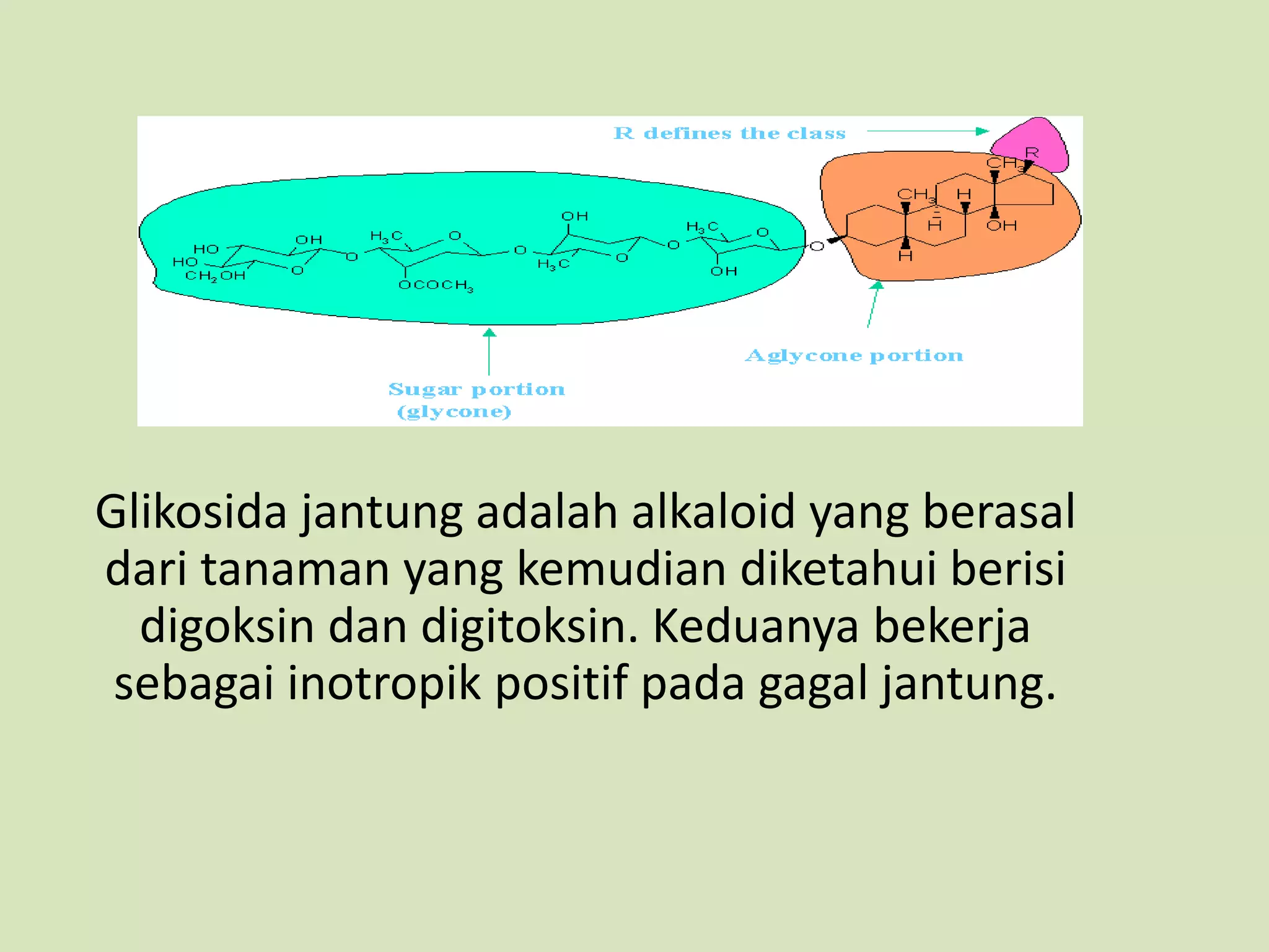 Glikosida Jantung | PPTX