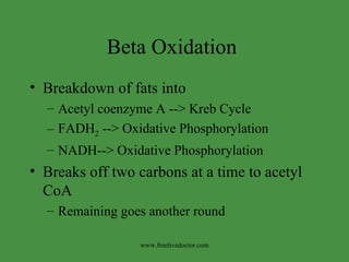 Cell Respiration &Metabolism | PPT